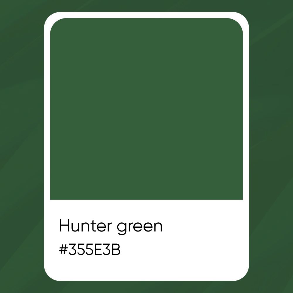 All about the Color Hunter Green - Meaning and Psychology