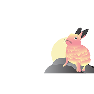 Free Rabbit Images | Picsart