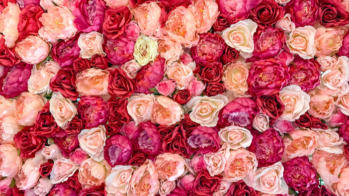 Hallmark Channel Zoom Virtual Backgrounds | atelier-yuwa.ciao.jp